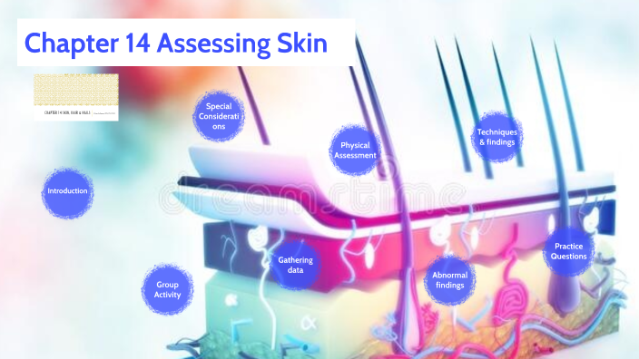 Chapter 14 Assessing Skin by on Prezi