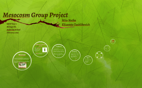 Mesocosm Project by Elizaveta Tashlikovich on Prezi