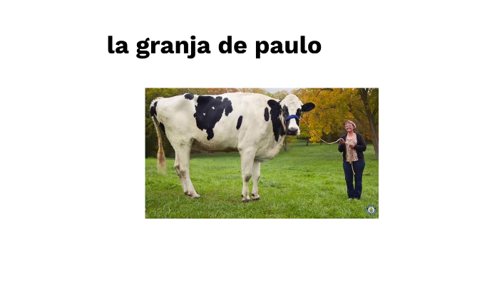 la vaca paulo by giancarlo y jacobo viviano y zeitoune on Prezi