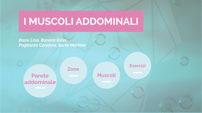 Muscoli addominali by Lisa Bassi on Prezi