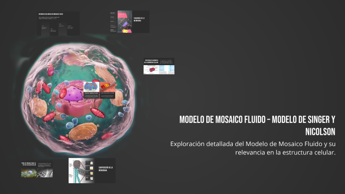 Modelo de Mosaico Fluido – Modelo de Singer y Nicolson by RUCOBA ...