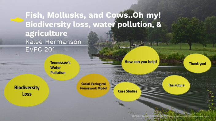 EVPC201 TN Water Pollution Agriculture by Kalee Hermanson on Prezi