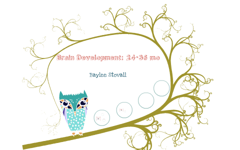 Child Development - Baby Brain Map by Baylee Stovall