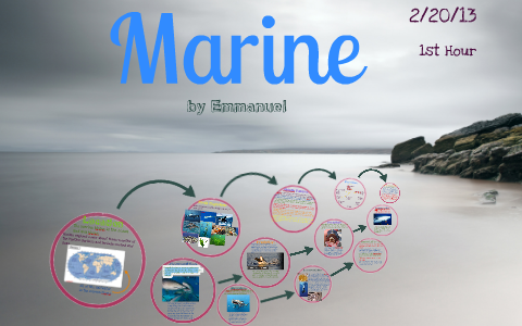 marine biome project by emmanuel ajungo on Prezi