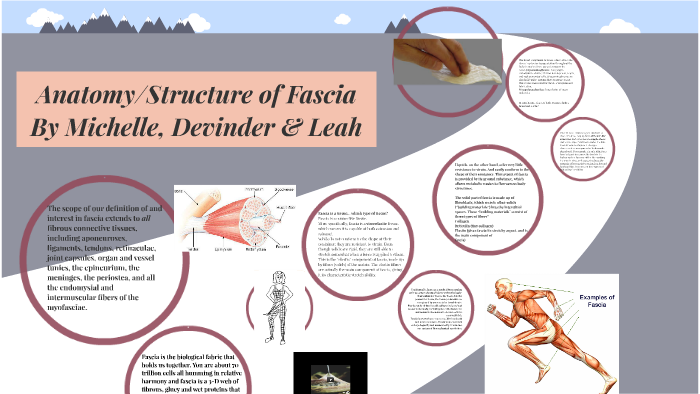 Anatomy/Structure of Fascia by Leah Mayer on Prezi