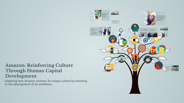 Amazon: Reinforcing Culture Through Human Capital Development by Susan ...