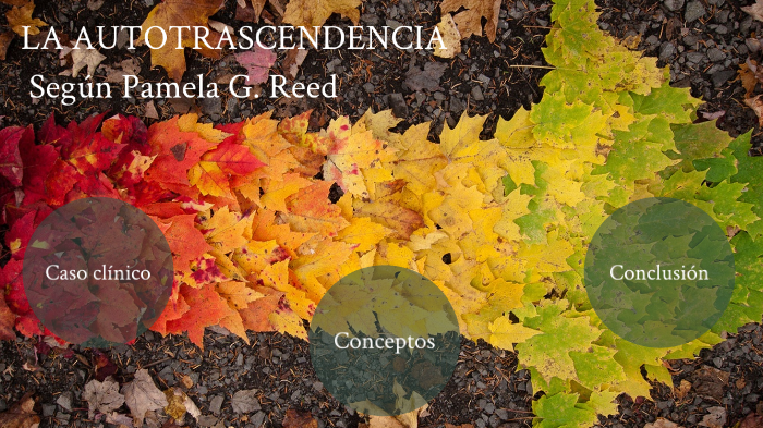 Teoría de Pamela G. Reed by kristel riffo on Prezi