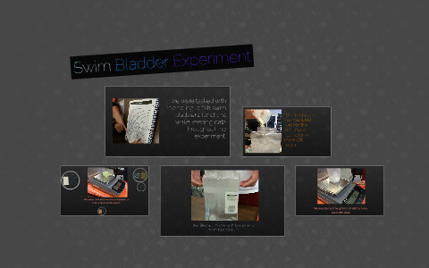 Swim Bladder Experiment by Kate Morey on Prezi