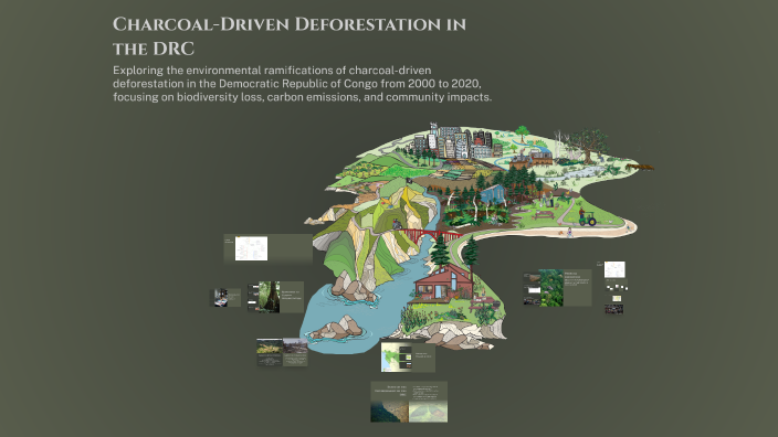 Environmental Impact of Charcoal-Driven Deforestation in the DRC by on ...