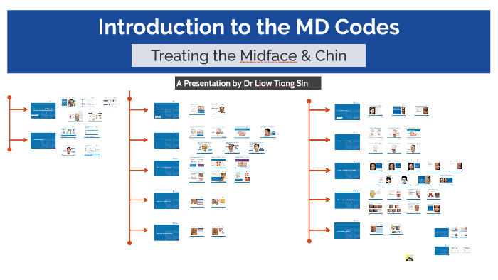 Introduction to MD Codes Midface & Chin by on Prezi