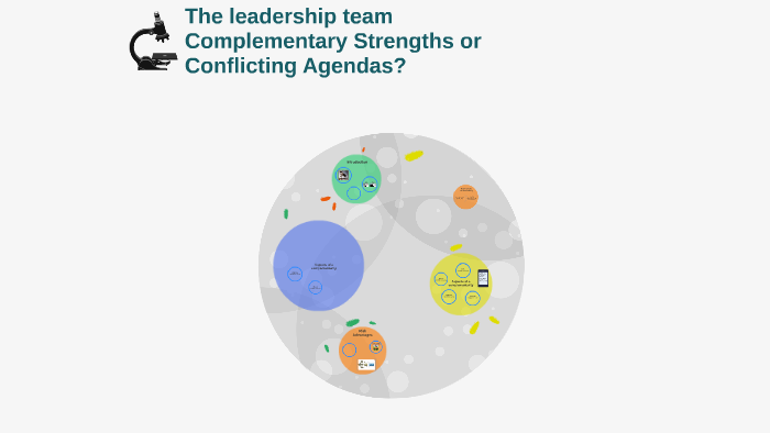 The leadership team Complementary Strengths or Conflicting A by Eleni ...