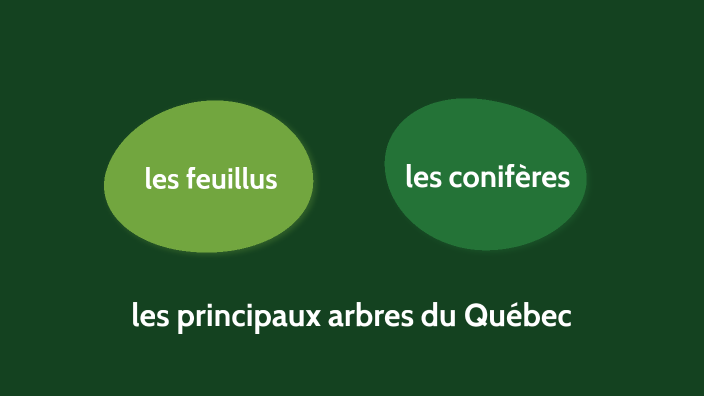 les arbres du Québec :-) by Caroline Labrie on Prezi