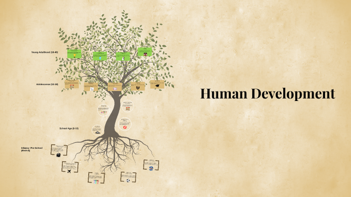 Human Development Tree by Gabriella Ruffino on Prezi