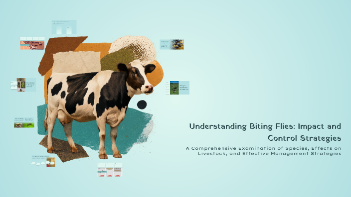 Understanding Biting Flies: Impact and Control Strategies by Eunice on ...