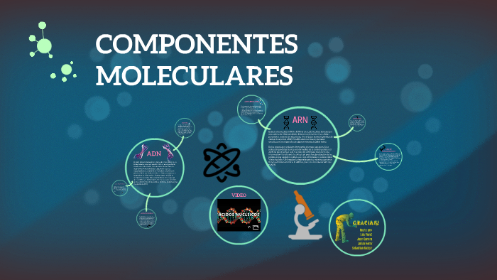 componentes moleculares by Luis Fernando Florez Noguera on Prezi