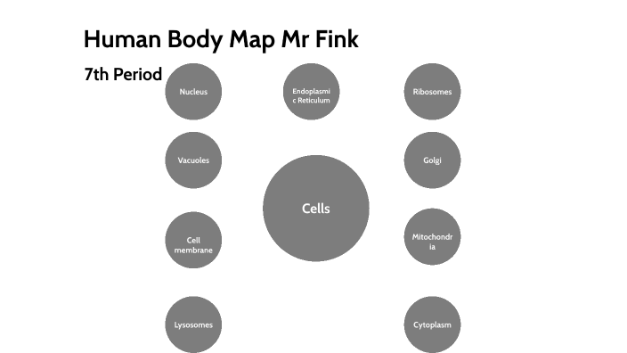 Human Body Map Mr Fink by Andy Laris on Prezi