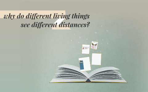 why do different living things see different distances? by robert ...