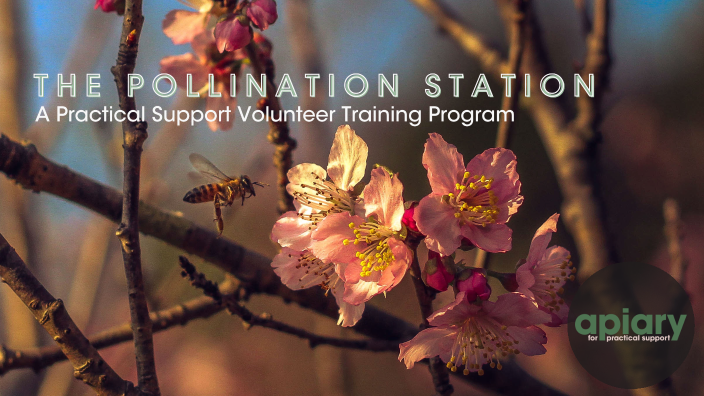 The Pollination Station by Sara Rahimi on Prezi