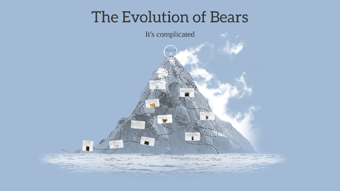 Evolution of Bears by on Prezi