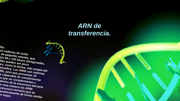 ARN de transferencia by Angie Salas on Prezi