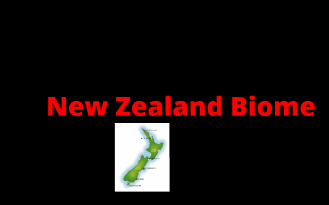 New Zealand Biome by Flaco Stamback on Prezi