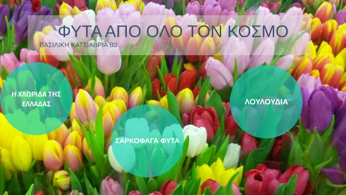 ΦΥΤΑ ΑΠΟ ΌΛΟ ΤΟΝ ΚΟΣΜΟ by Βασιλική Κατσιαβριά on Prezi