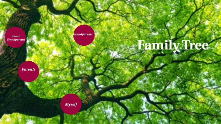 Axel Tyler's Family Tree by Axel Tyler on Prezi