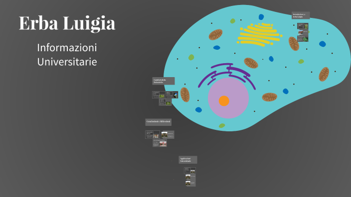 Erba Luigia by ANDREA AFELTRA on Prezi