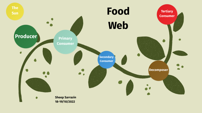 Build a Food Web by Sheep Sarrazin on Prezi
