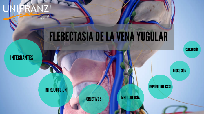 flebectasia de vena yugular by isbel ayqui vilca on Prezi