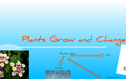 Plants Grow and Change by Michelle Carroll on Prezi