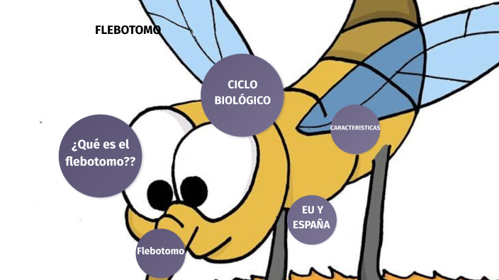 flebotomo by Alejandra Meseguer Verdejo on Prezi