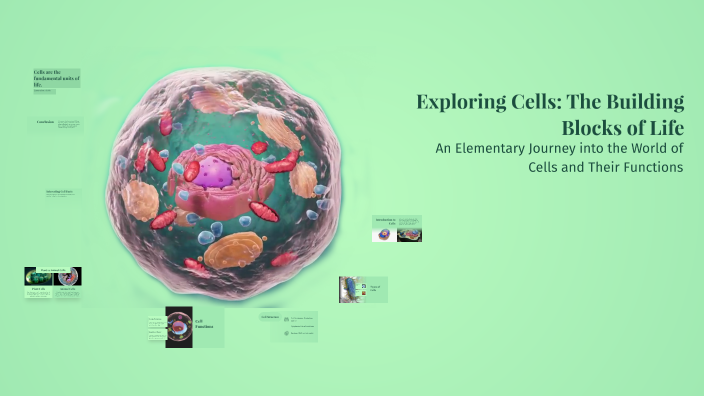 Exploring Cells: The Building Blocks of Life by Lawson Gruic on Prezi