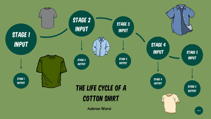 The Life Cycle of a Cotton Shirt by Aabroo warsi on Prezi