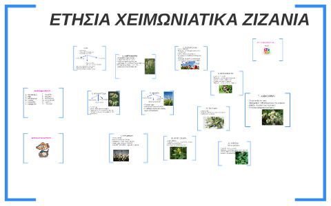 ΕΤΗΣΙΑ ΧΕΙΜΩΝΙΑΤΙΚΑ ΖΙΖΑΝΙΑ by Β. ΔΕΣΠΟΙΝΑ on Prezi
