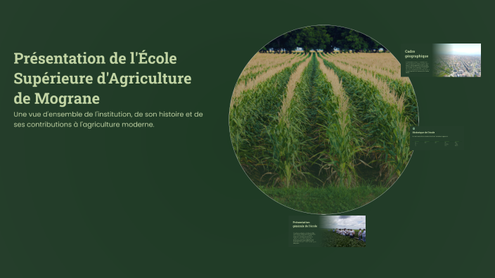 Présentation de l'École Supérieure d'Agriculture de Mograne by sebai ...