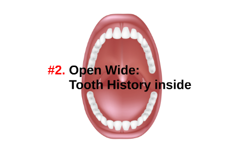 #2. Open Wide: Tooth History inside by Sun young Kim on Prezi
