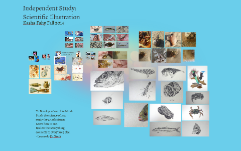 Independent Study: Scientific Illustration Portfolio by Kasha Fahy on Prezi