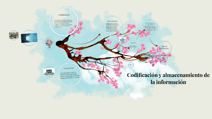 Codificacion Y Almacenamiento De La Informacion By Samantha Martìnez On