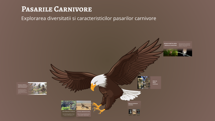 Pasarile Carnivore by Dav Id on Prezi