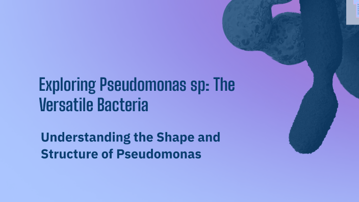 Exploring Pseudomonas sp: The Versatile Bacteria by Mabroukah ...