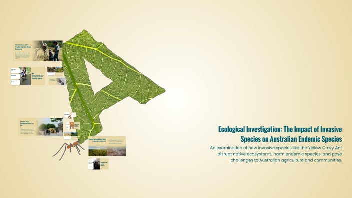 Ecological Investigation: The Impact of Invasive Species on Australian ...