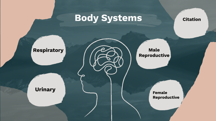Body Systems by Raima Javaid on Prezi