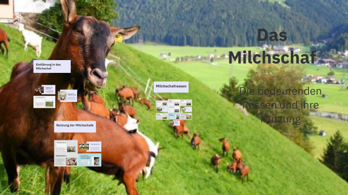 Das Milchschaf by fabienne linke on Prezi