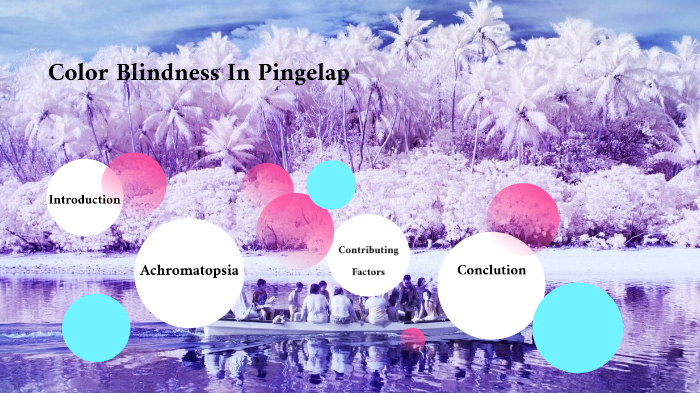 Color Blindness in Pingelap by Satya Heater on Prezi