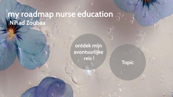 my roadmap nurse education by Nihad Zoubaa on Prezi