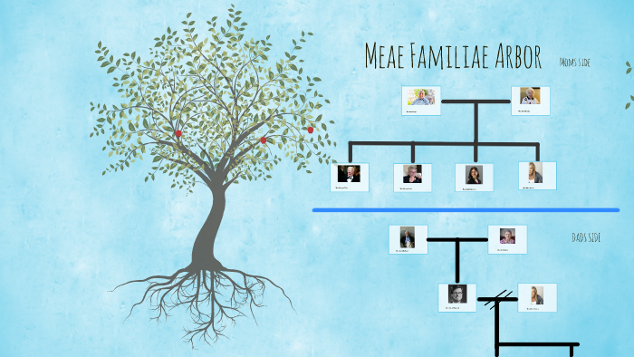Meae Familiae Arbor by Alex Glenning on Prezi