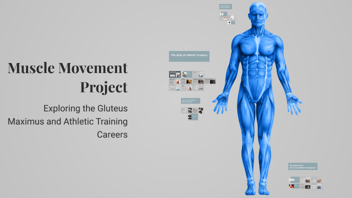 Muscle Movement Project by Salam Najjar on Prezi