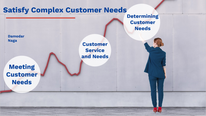 Satisfy Complex Customer Needs by pothina damodar on Prezi