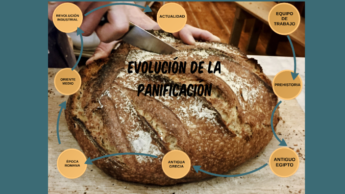 EVOLUCION DE LA PANIFICACION by camilo cantor on Prezi